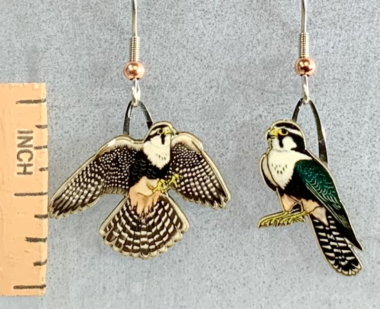 Birds of Prey: Raptors & Owls - Jabebo Earrings